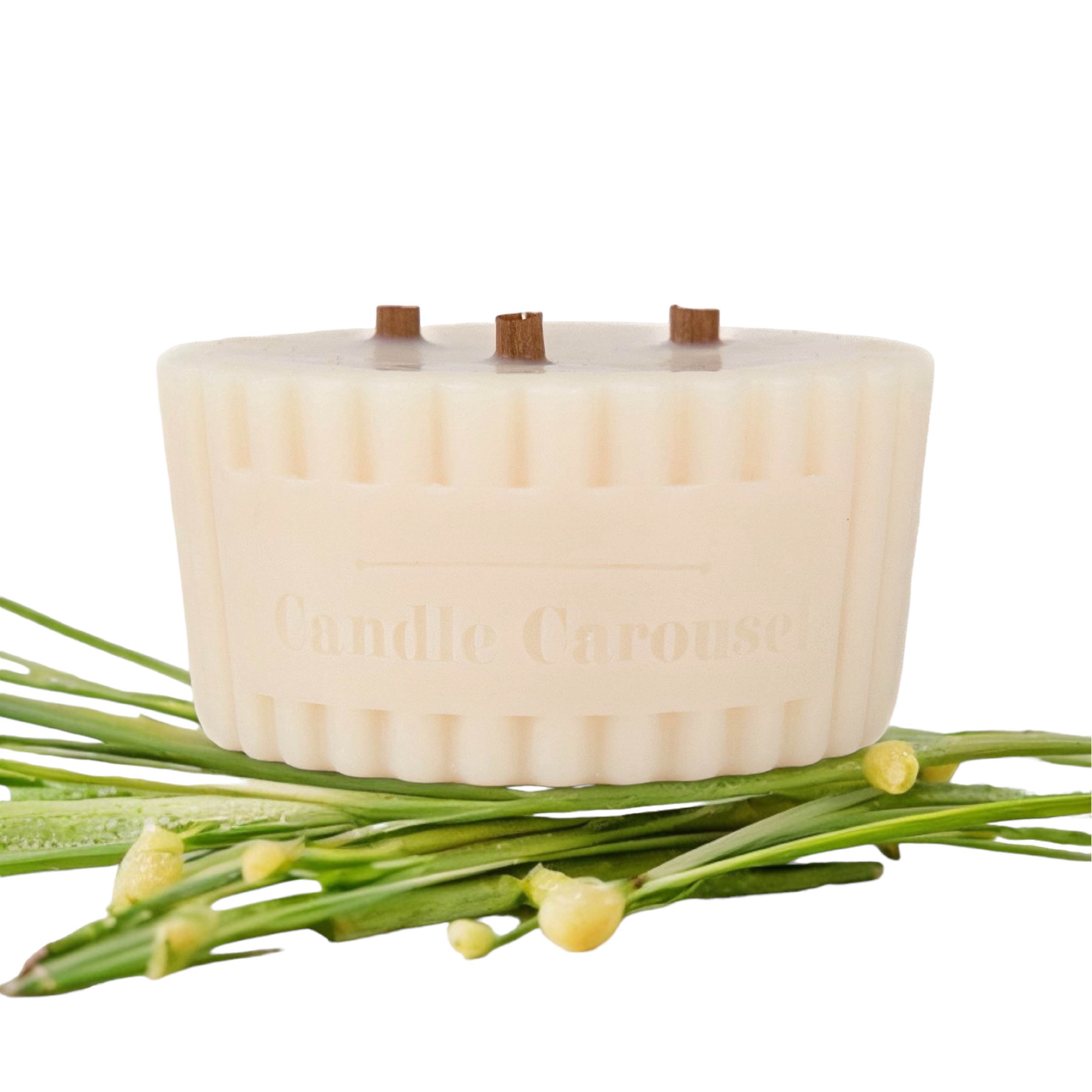 'Insect Repel' Aromatherapy Candle Refill - Vegan, Cruelty-Free – The ...